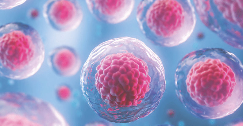 Innovation in Aesthetic Medicine | PRIME Journal